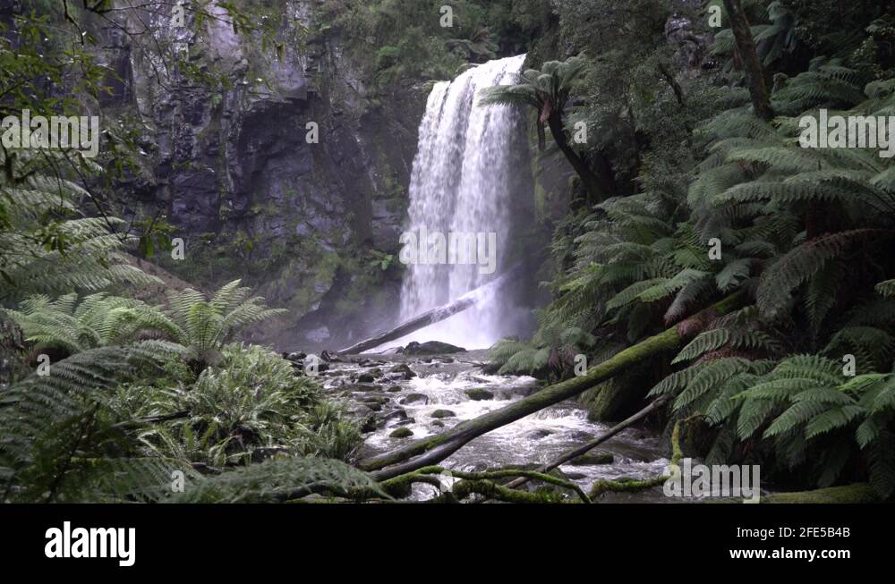 Rainforest river waterfall Stock Videos & Footage - HD and 4K Video ...