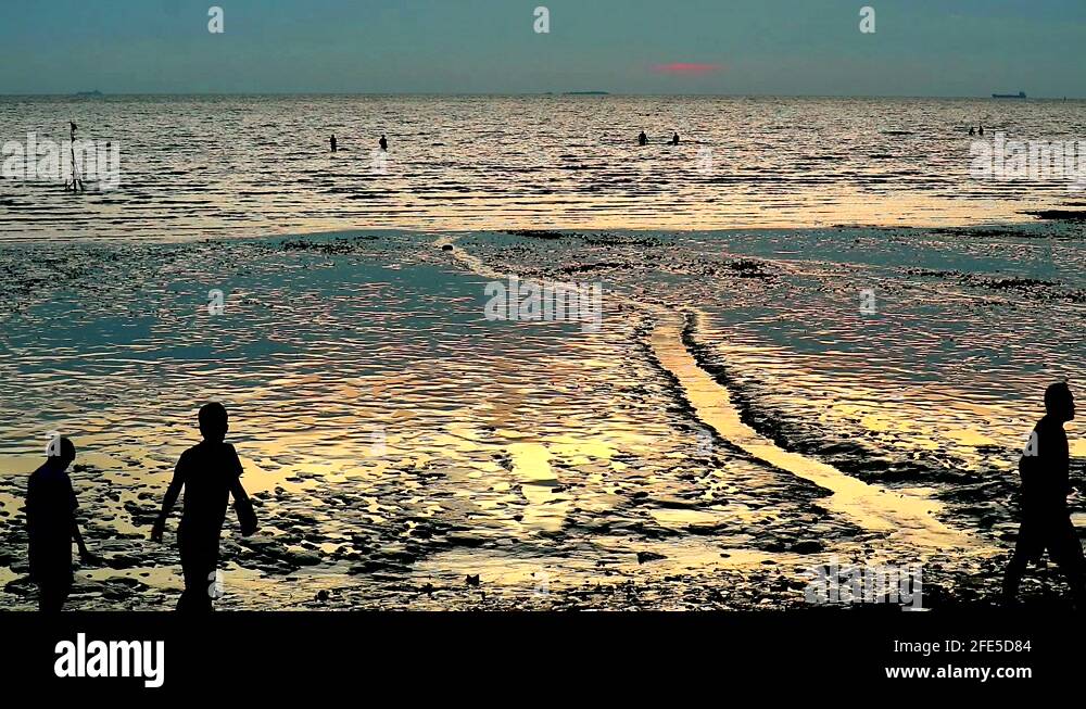 Tide lines on beach Stock Videos & Footage - HD and 4K Video Clips - Alamy