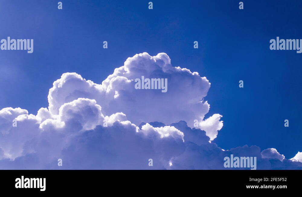 Fluffy lining Stock Videos & Footage - HD and 4K Video Clips - Alamy