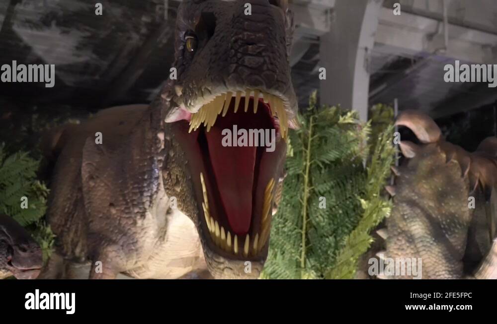 Dinosaur showing teeth Stock Videos & Footage - HD and 4K Video Clips ...