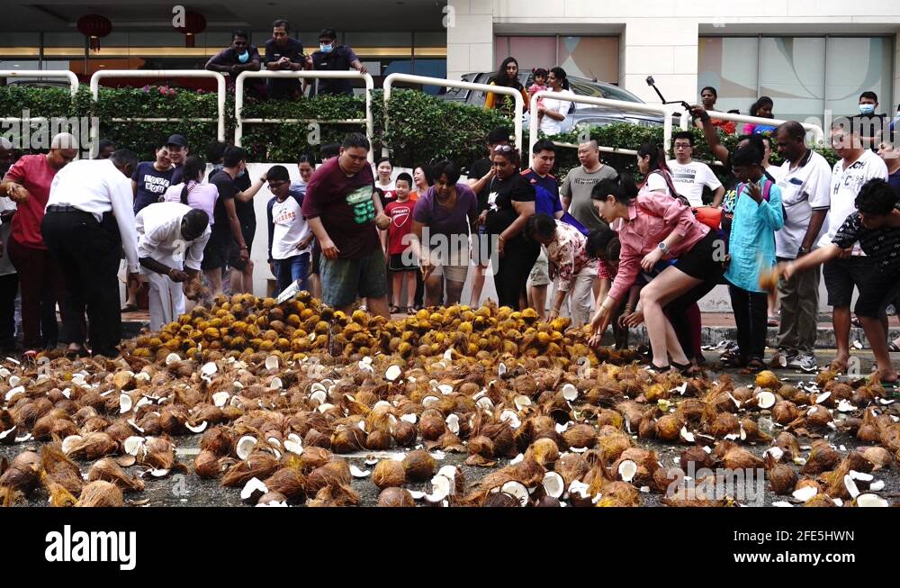 Coconut culture Stock Videos & Footage - HD and 4K Video Clips - Alamy