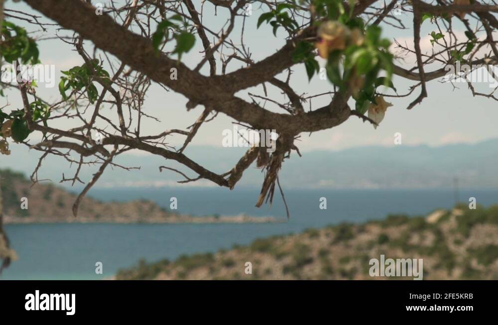 Corinthian gulf Stock Videos & Footage - HD and 4K Video Clips - Alamy