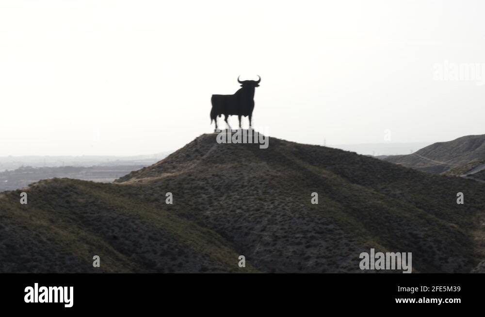 Metal bull. film Jamon, Jamon, with Penelope Cruz and Javier Bardem was ...
