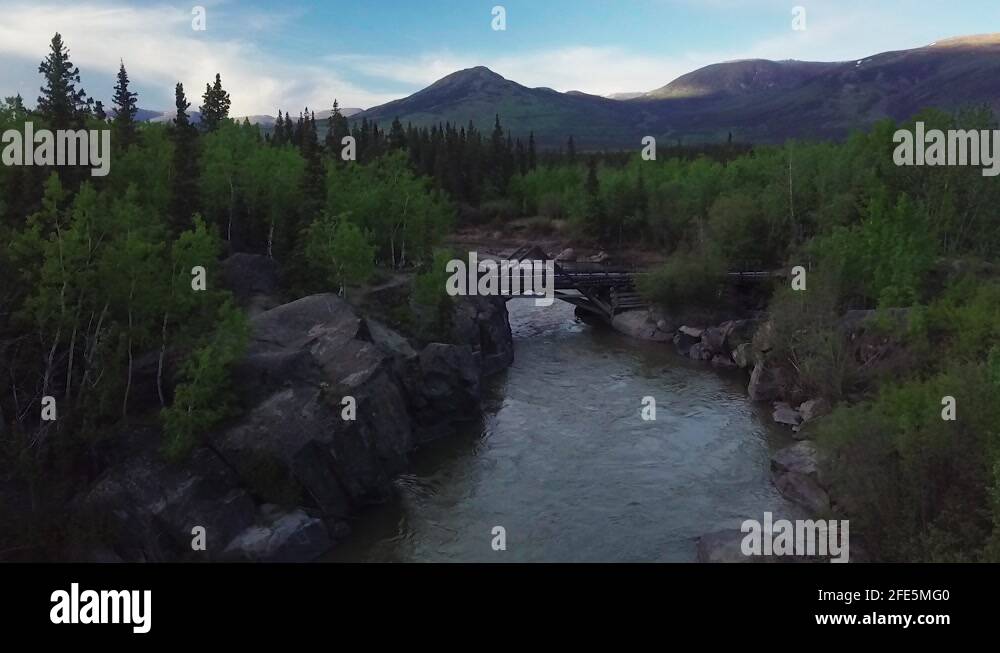 Otter range Stock Videos & Footage - HD and 4K Video Clips - Alamy