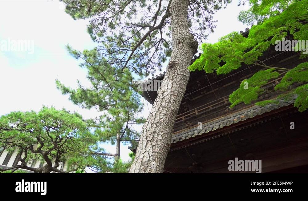 Sengakuji temple Stock Videos & Footage - HD and 4K Video Clips - Alamy