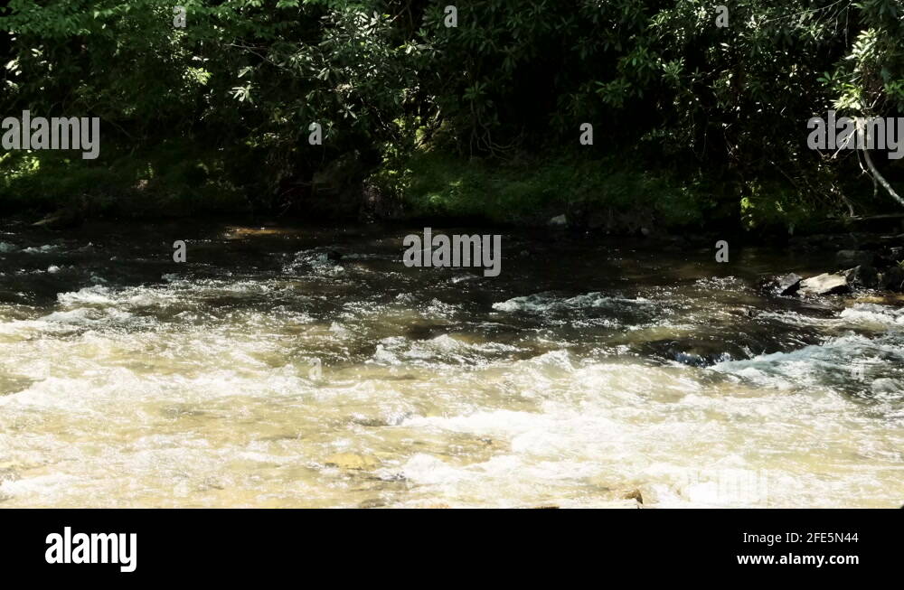 Shiny river Stock Videos & Footage - HD and 4K Video Clips - Alamy