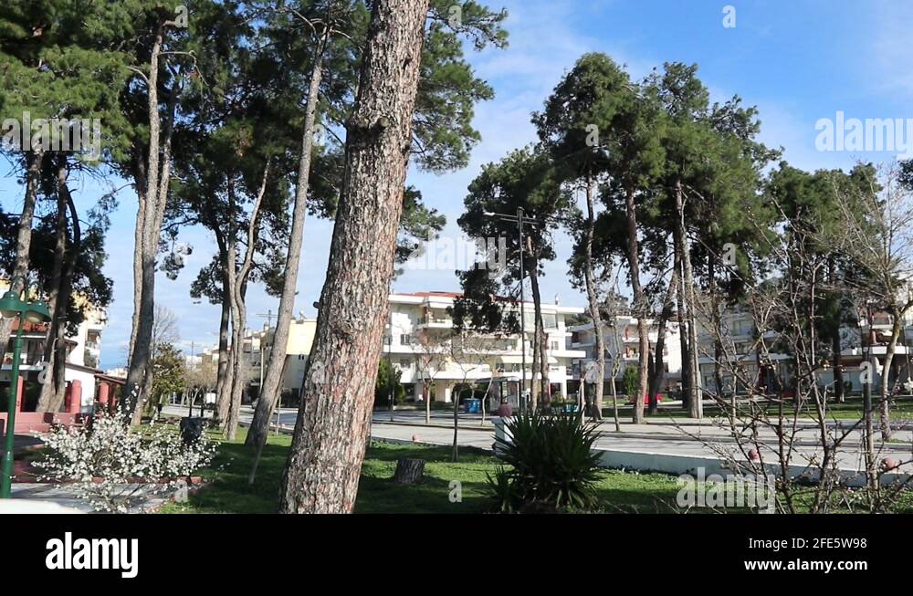 Neoi Stock Videos & Footage - HD and 4K Video Clips - Alamy