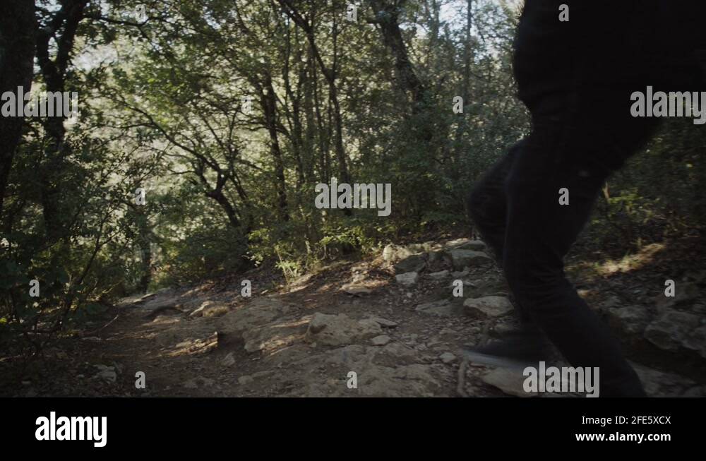 Man walks into landscape forest scene wearing hat and jacket and skips ...