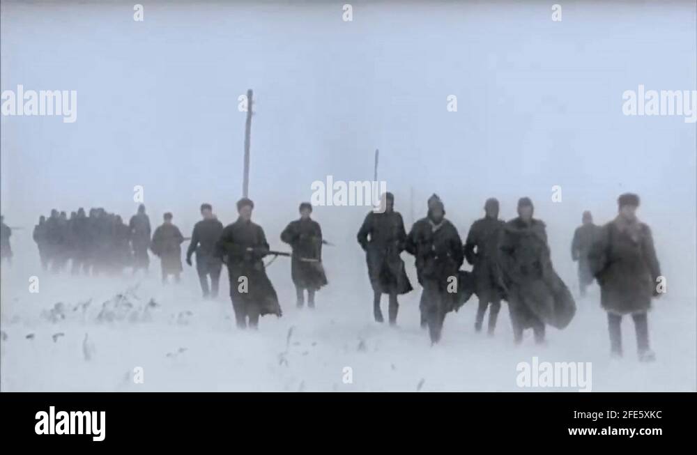 Stalingrad german winter Stock Videos & Footage - HD and 4K Video Clips ...
