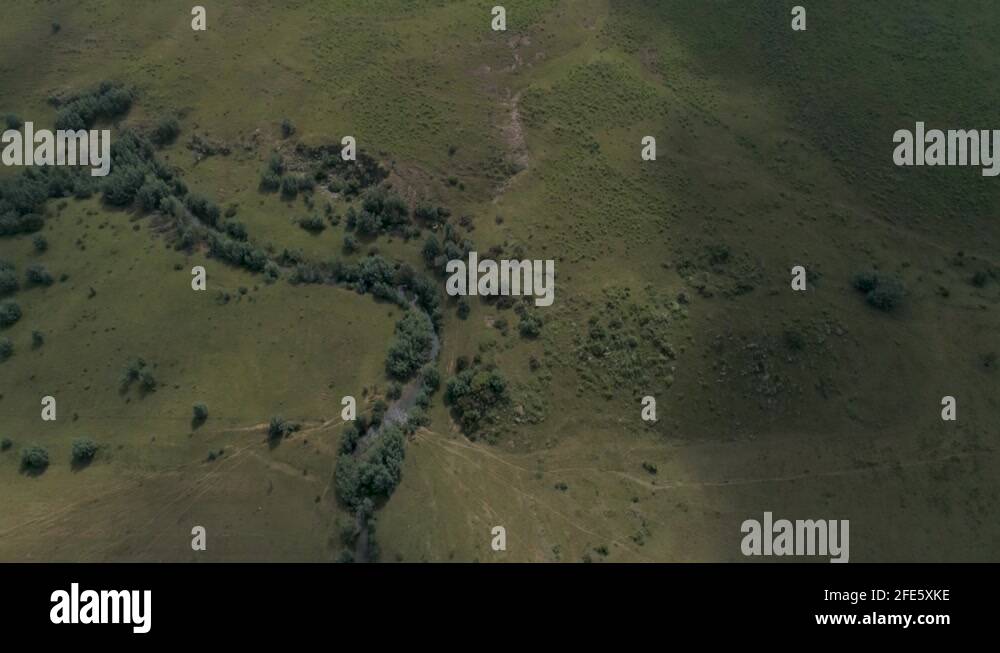 Tilt up camera showing a wide field covered by green grass that ...