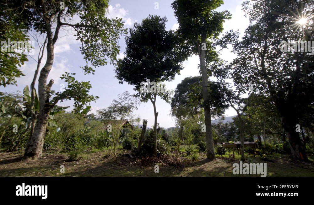 Tilt side Stock Videos & Footage - HD and 4K Video Clips - Alamy