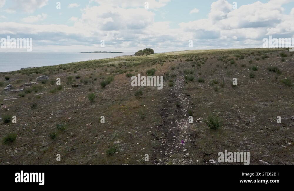 Carl field Stock Videos & Footage - HD and 4K Video Clips - Alamy