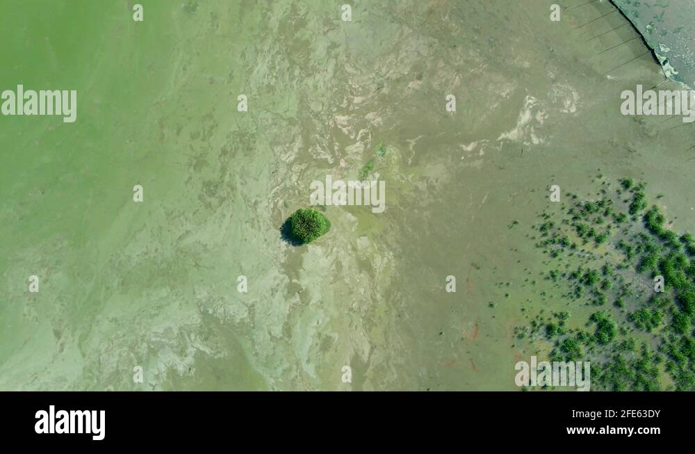 Arrow head Fish Trap used in Asia. - Areal flyover with algae on the ...
