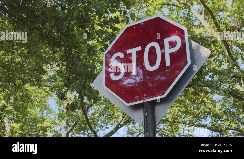 Low Angle of Stop Sign Surrounded by Green Leafy Trees During The ...