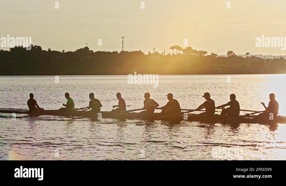 Rowing team success Stock Videos & Footage - HD and 4K Video Clips - Alamy