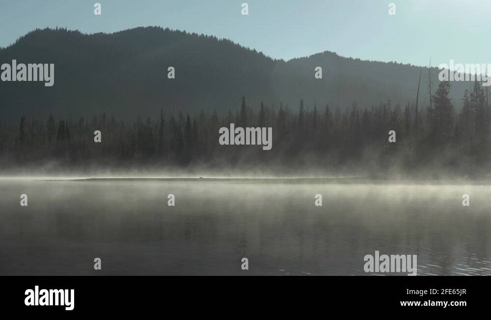Cascade silhouette Stock Videos & Footage - HD and 4K Video Clips - Alamy