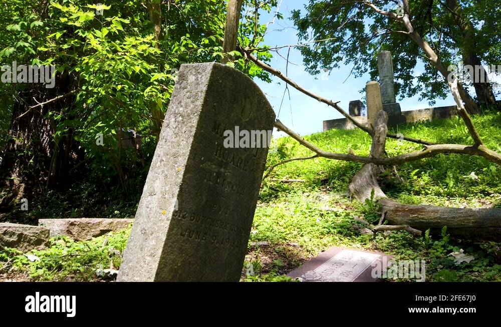 Old spooky tomb in Stock Videos & Footage - HD and 4K Video Clips - Alamy