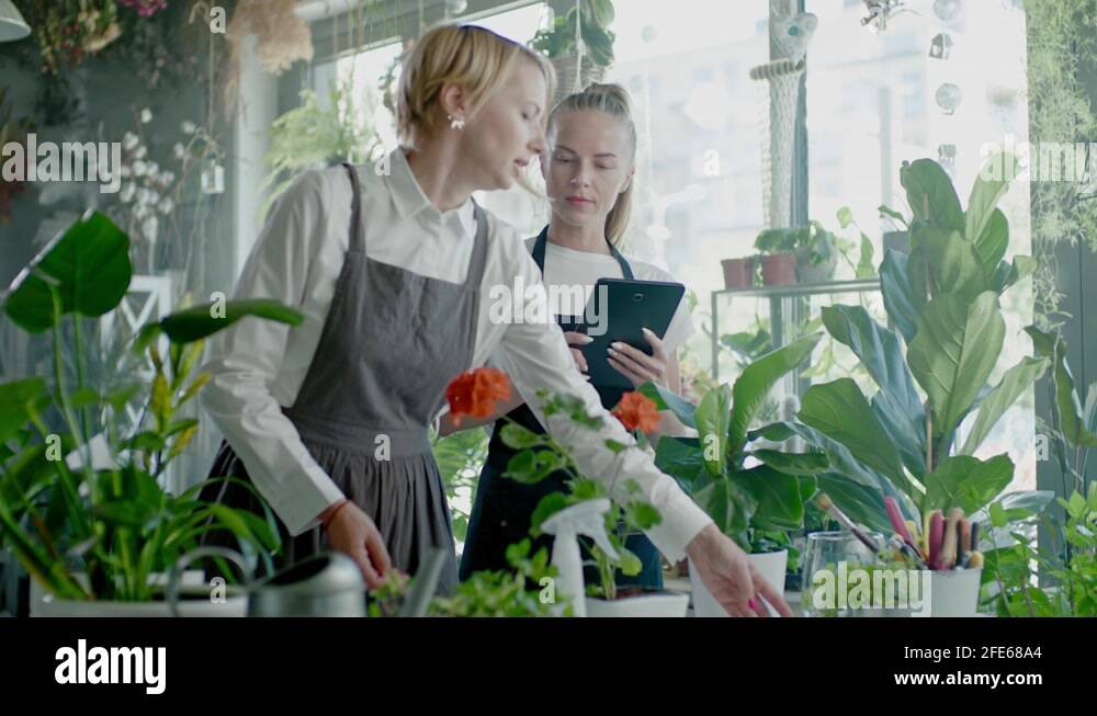 Plants growth characteristics Stock Videos & Footage - HD and 4K Video Clips - Alamy