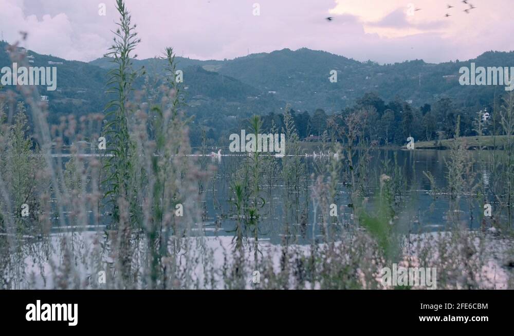 Water fe Stock Videos & Footage - HD and 4K Video Clips - Alamy