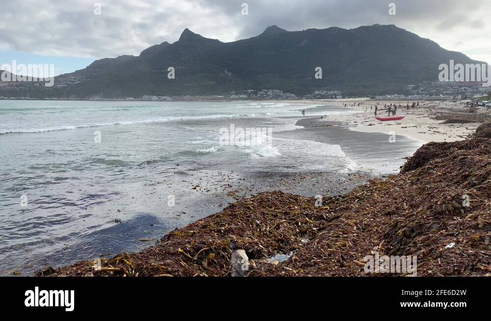 Sentinel pile Stock Videos & Footage - HD and 4K Video Clips - Alamy