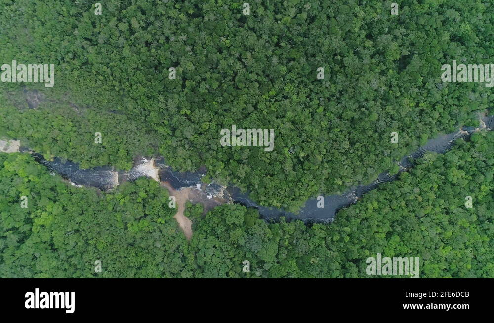 Amazon river habitat Stock Videos & Footage - HD and 4K Video Clips - Alamy