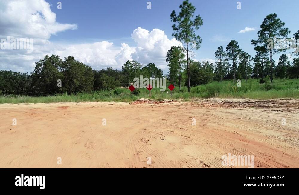 Scrub forest Stock Videos & Footage - HD and 4K Video Clips - Alamy