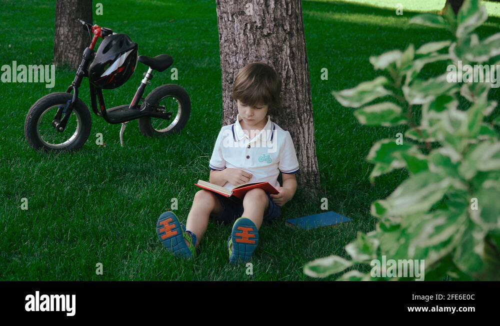School boy reading under tree Stock Videos & Footage - HD and 4K Video ...