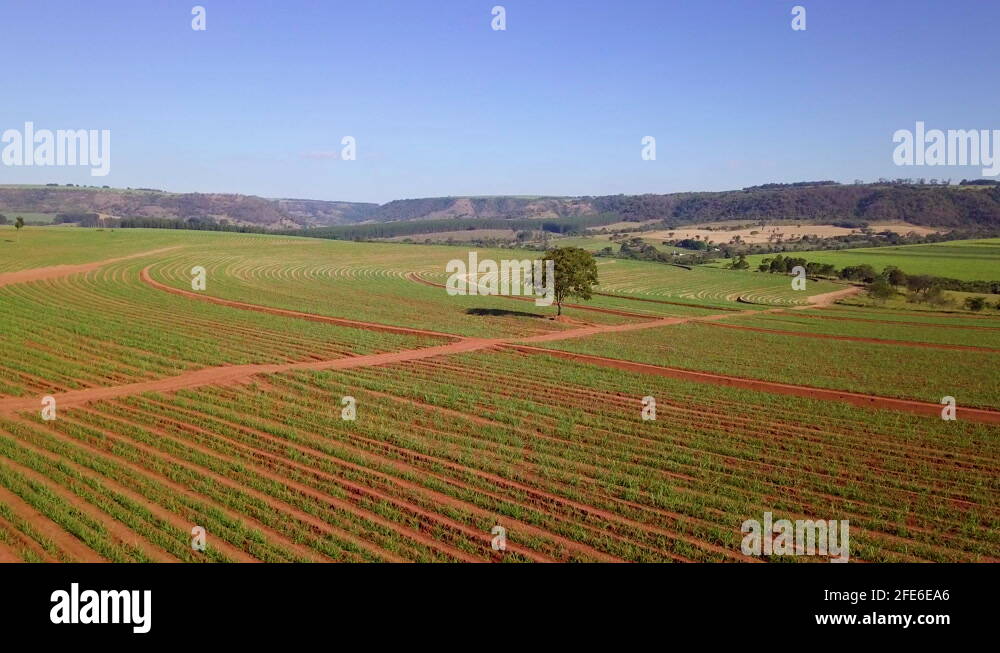 Dramatic scale in nature Stock Videos & Footage - HD and 4K Video Clips ...