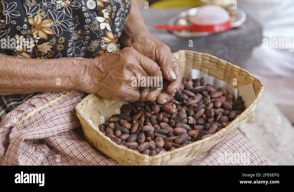 Wrinkled shell Stock Videos & Footage - HD and 4K Video Clips - Alamy