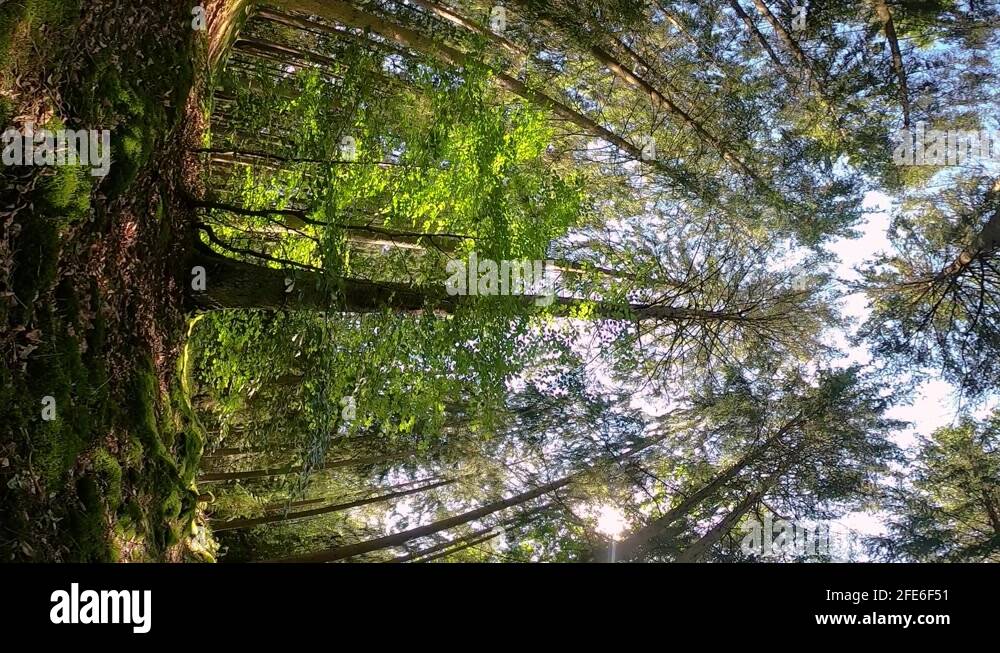 History vertical Stock Videos & Footage - HD and 4K Video Clips - Alamy