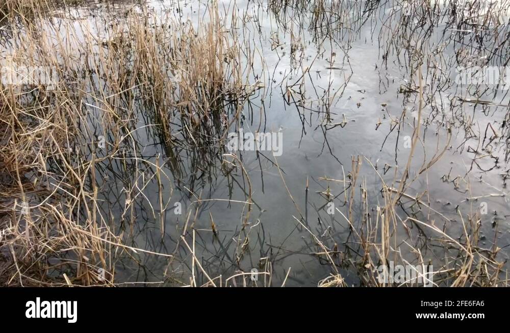 Groundwater lake Stock Videos & Footage - HD and 4K Video Clips - Alamy