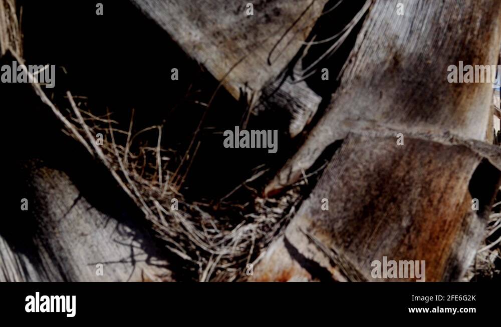 Maritime archeology Stock Videos & Footage - HD and 4K Video Clips - Alamy