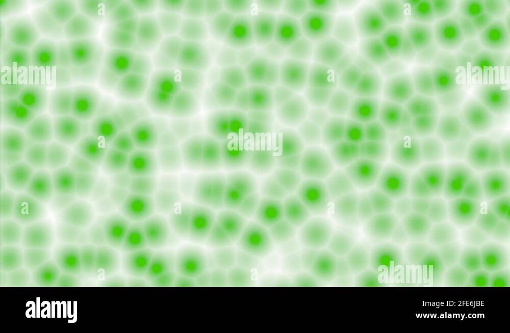 Chlorella cells Stock Videos & Footage - HD and 4K Video Clips - Alamy