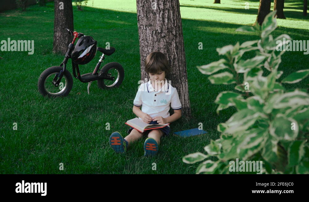 School boy reading a book under a large tree in a park-like setting ...