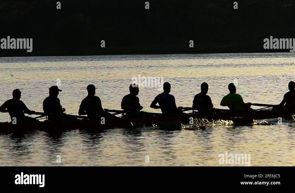 Athletic male rowing team practising water sport racing on lake water ...
