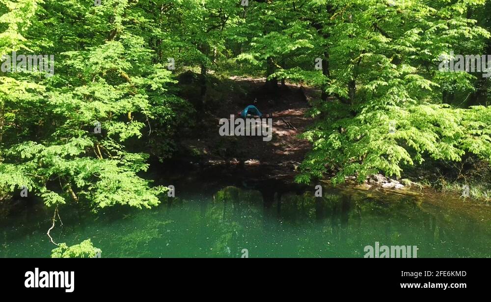 Deep green tree leaves Stock Videos & Footage - HD and 4K Video Clips ...