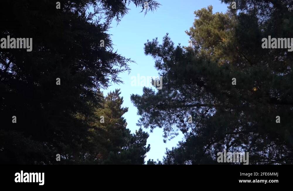 Large wood loom Stock Videos & Footage - HD and 4K Video Clips - Alamy