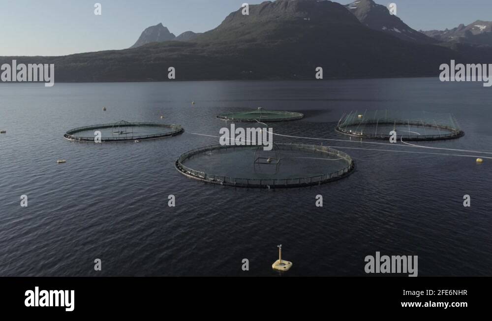 Norwegian fish farming Stock Videos & Footage - HD and 4K Video Clips ...