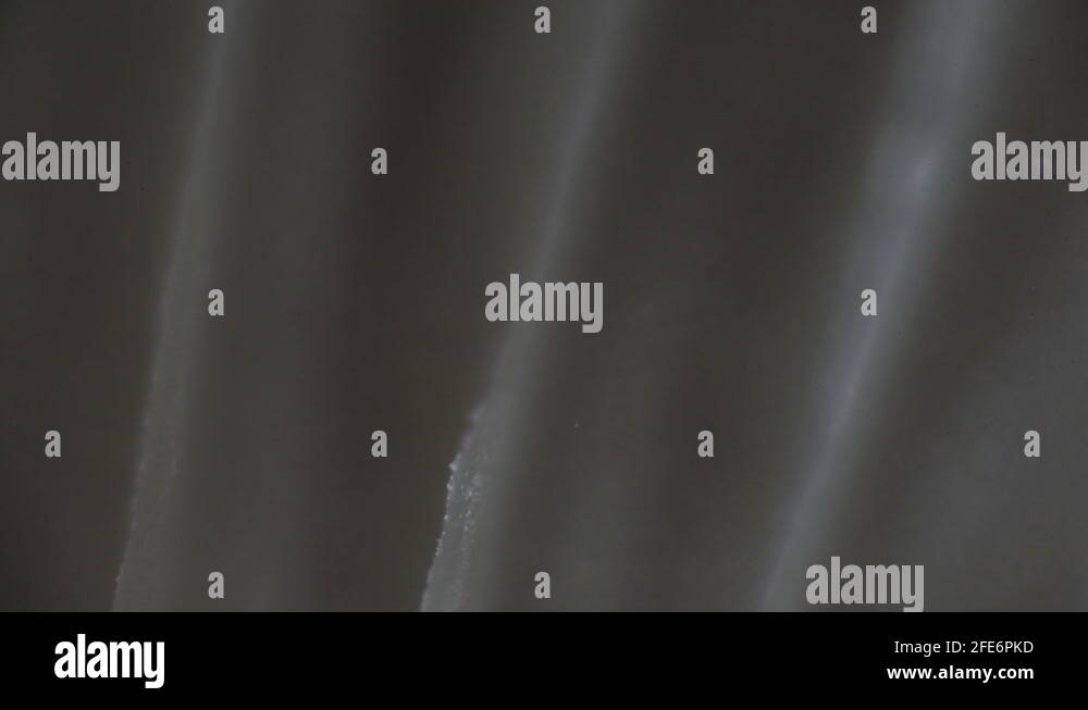 Inside of mushroom Stock Videos & Footage - HD and 4K Video Clips - Alamy