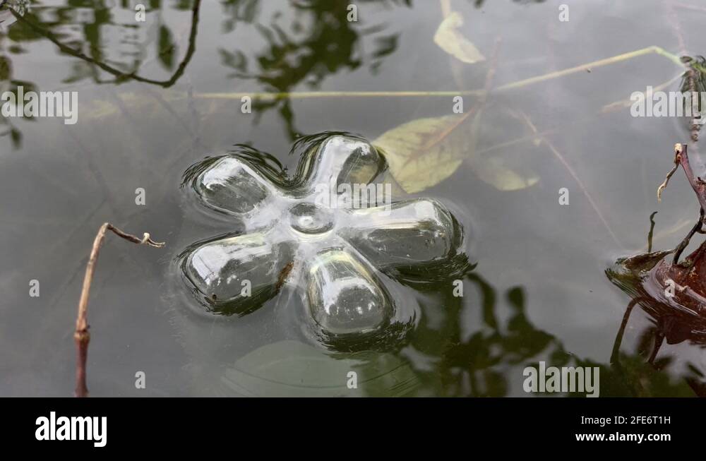 plastic bottle floats in water, 4k video, close-up of water pollution ...