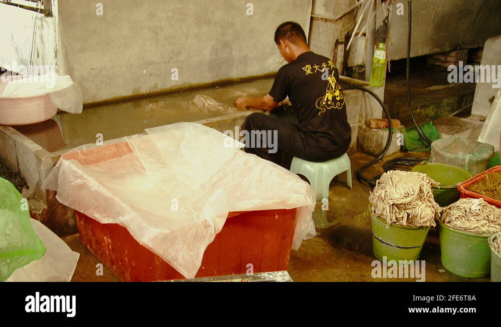 Historical processing Stock Videos & Footage - HD and 4K Video Clips ...