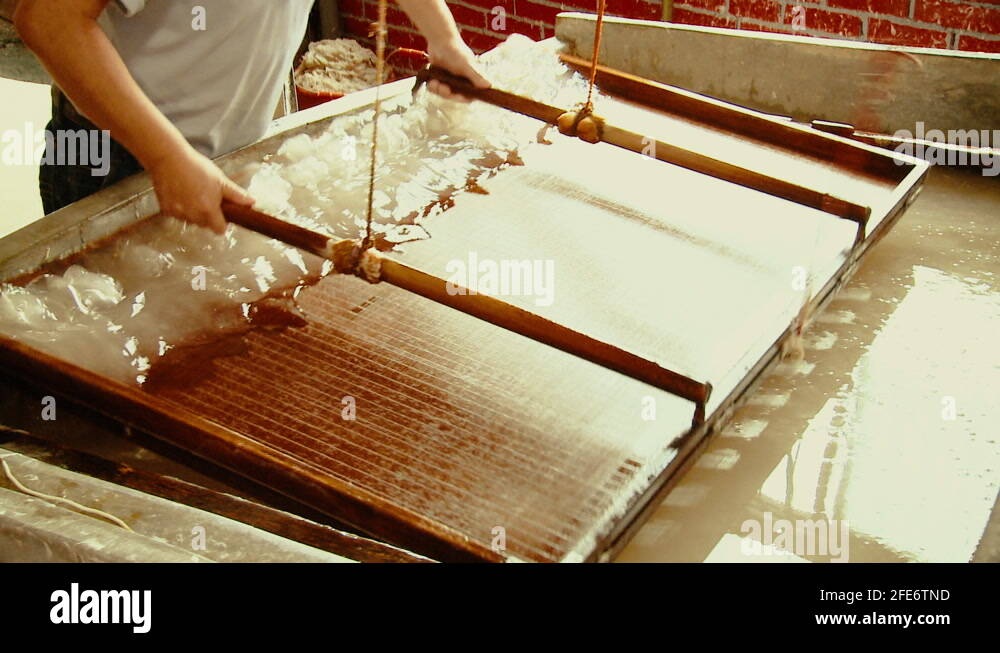 Making pulp Stock Videos & Footage - HD and 4K Video Clips - Alamy