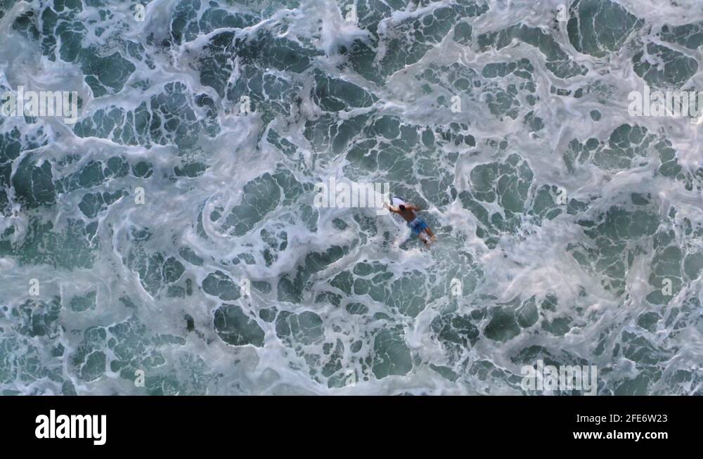 Birds and breaking wave Stock Videos & Footage - HD and 4K Video Clips ...