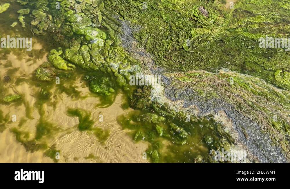 Float on the surface of the water Stock Videos & Footage - HD and 4K ...