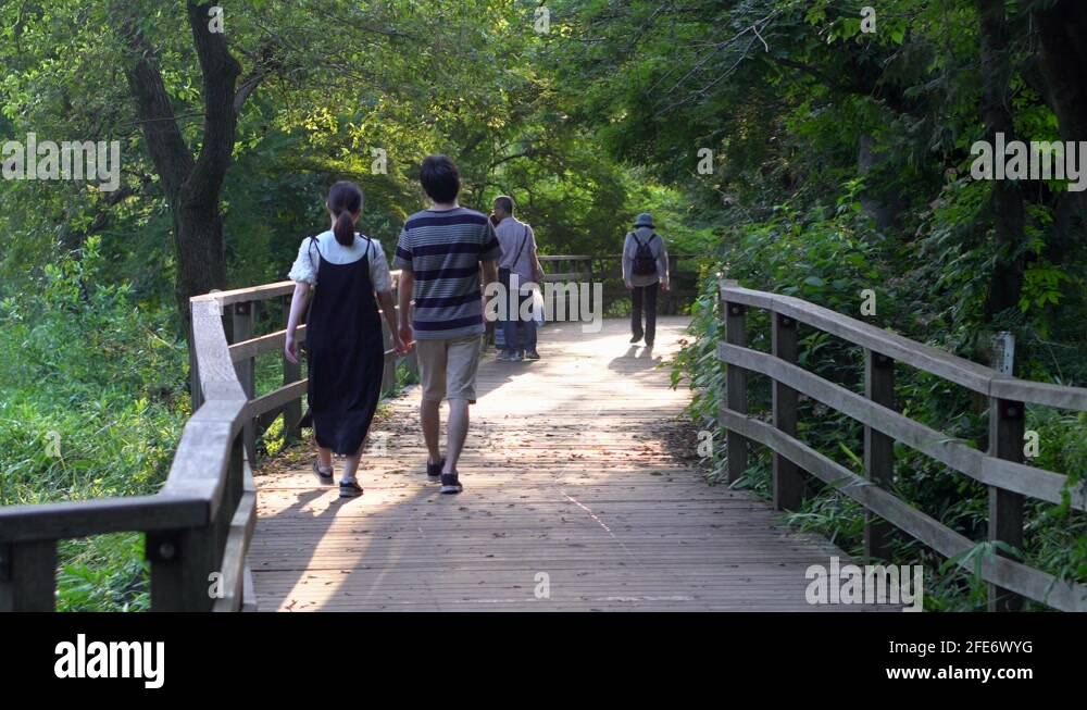 Active borders Stock Videos & Footage - HD and 4K Video Clips - Alamy