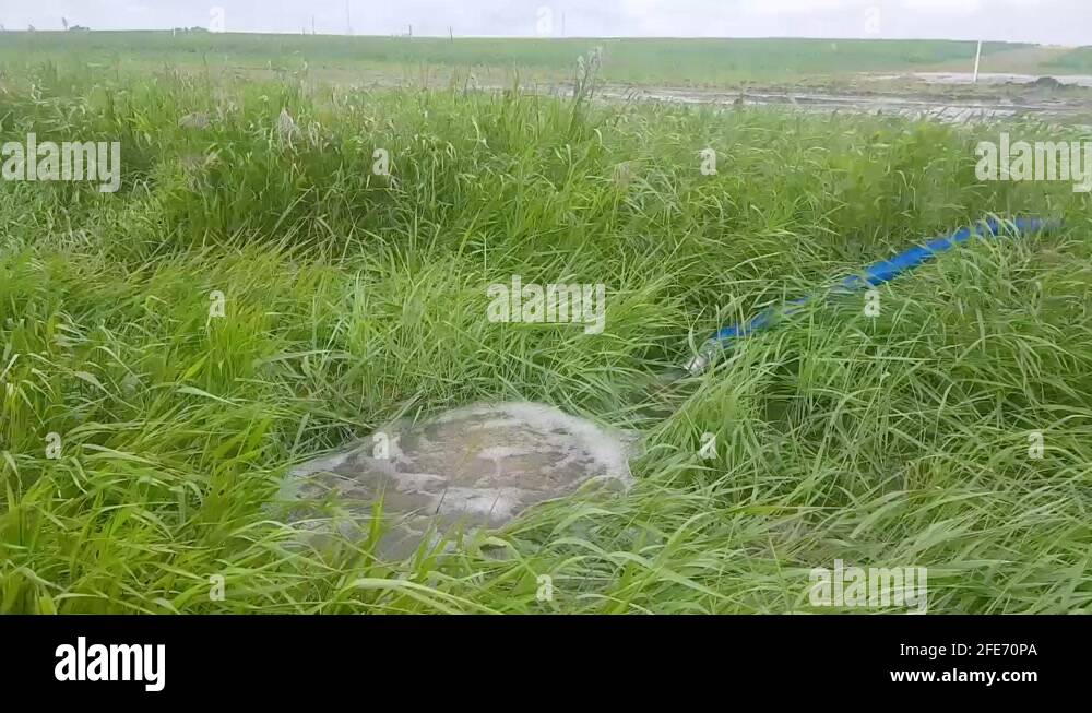 Waterlogged field Stock Videos & Footage - HD and 4K Video Clips - Alamy