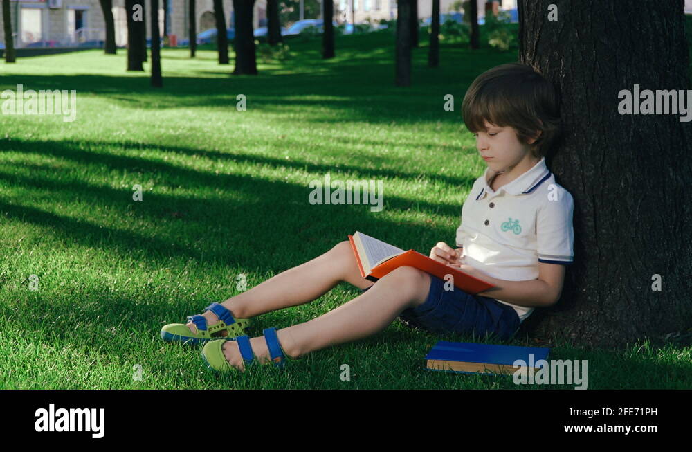 Sitting under tree children reading Stock Videos & Footage - HD and 4K ...
