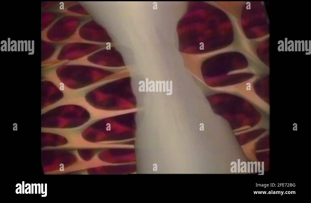 1990s: Animation of bone weakening. Men lifting astronaut in suit ...