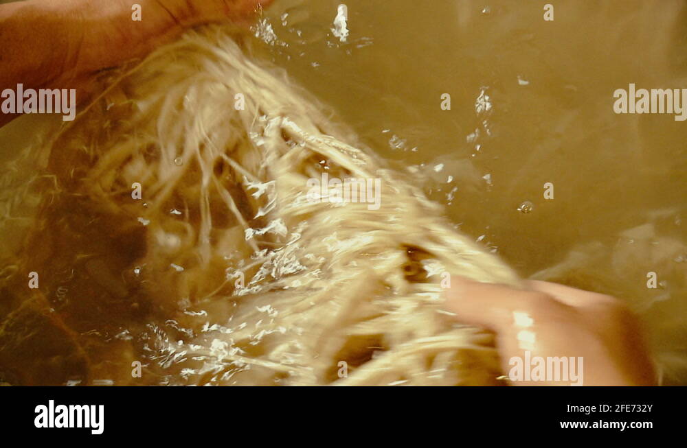 Pulp processing Stock Videos & Footage - HD and 4K Video Clips - Alamy