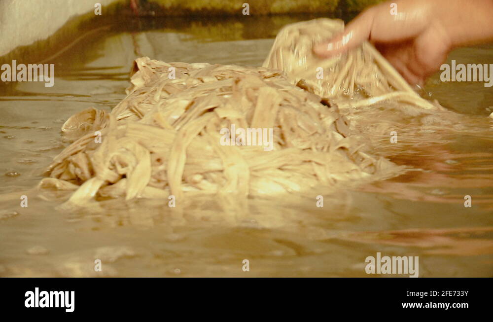 Working pulp mill Stock Videos & Footage - HD and 4K Video Clips - Alamy